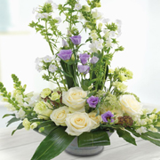 Show Stopper Aziatics Florist Staines